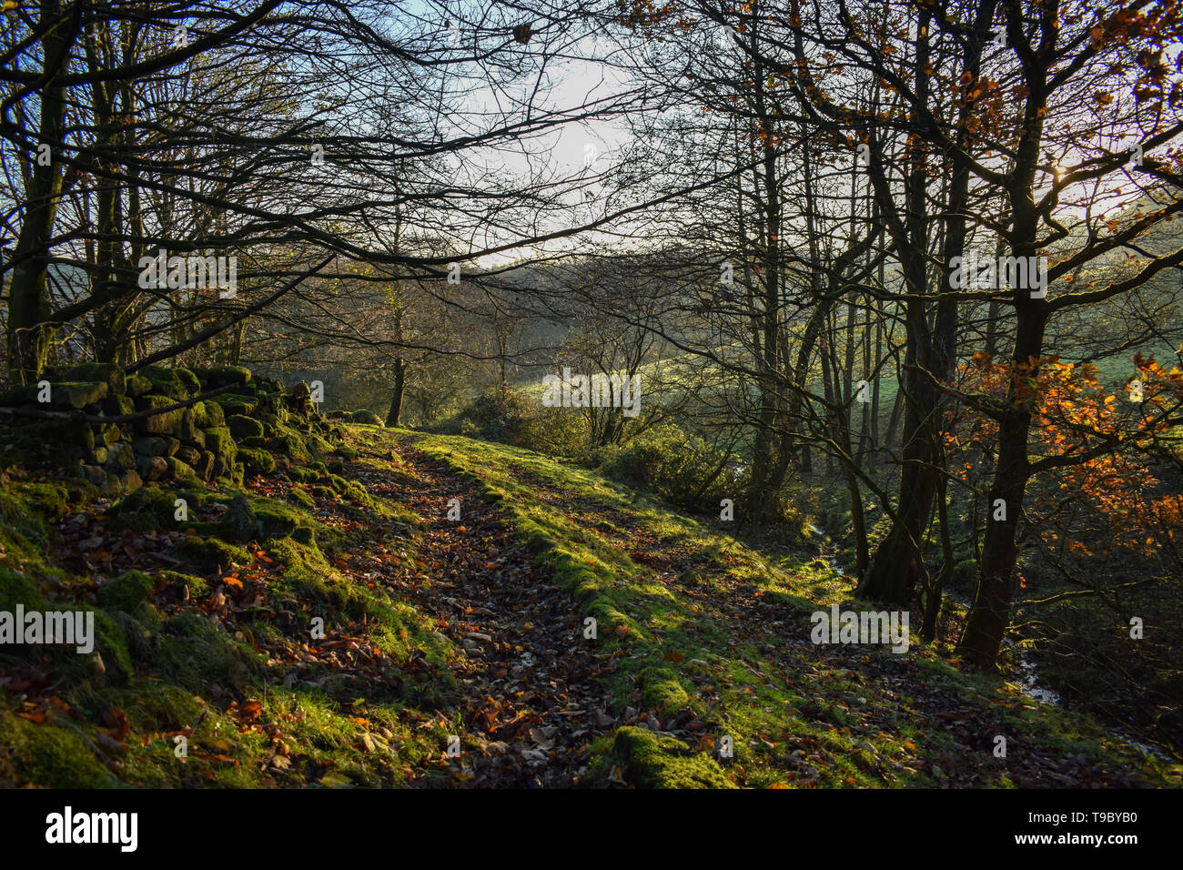Old path down into the valley Stock Photo - Alamy