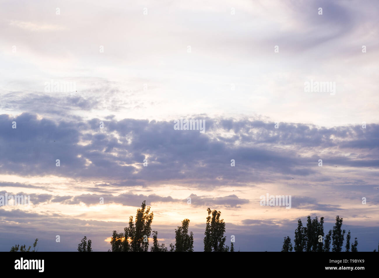 Landscape with dramatic light - beautiful golden sunset with saturated ...