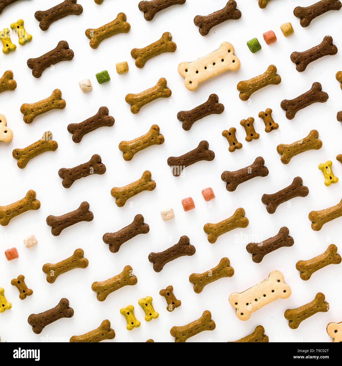 dry animal pet food isolated on white background Stock Photo - Alamy