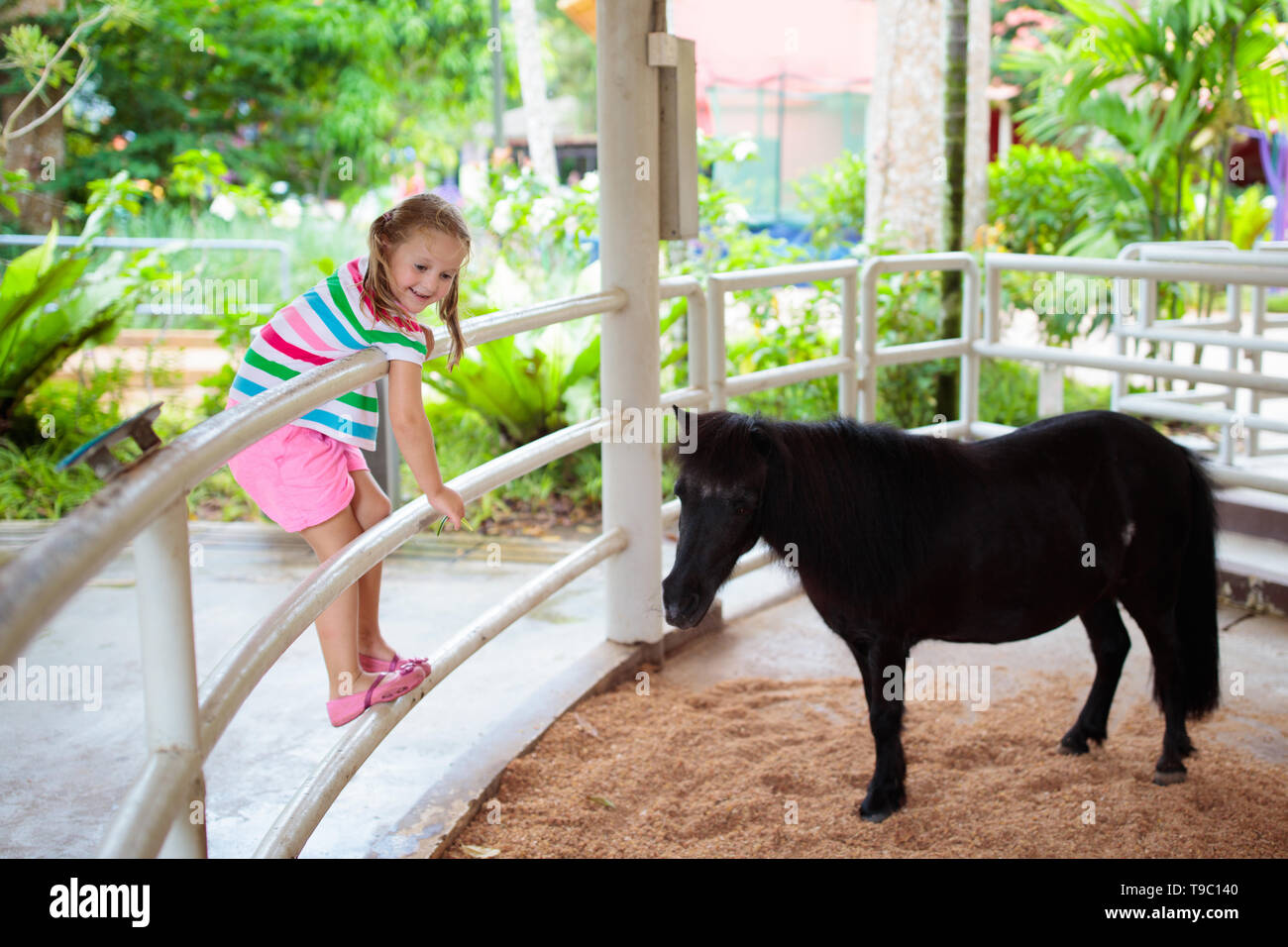 Little girl riding horse on summer vacation in country ranch. Kids ...