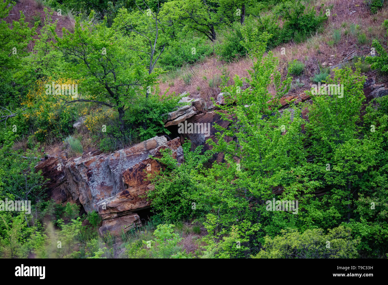 Stone cavern in green steppe landscape view Stock Photo - Alamy