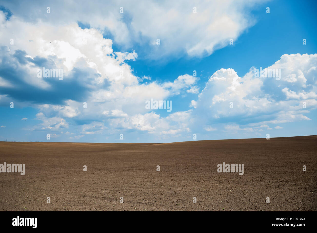 Empty brown soil of field and blue sky for natural background Stock ...