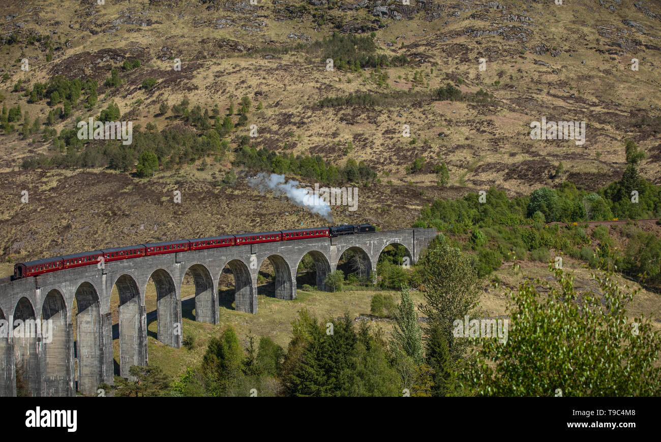Jacobite Steam Train on Glenfinnan Viaduct Stock Photo - Alamy