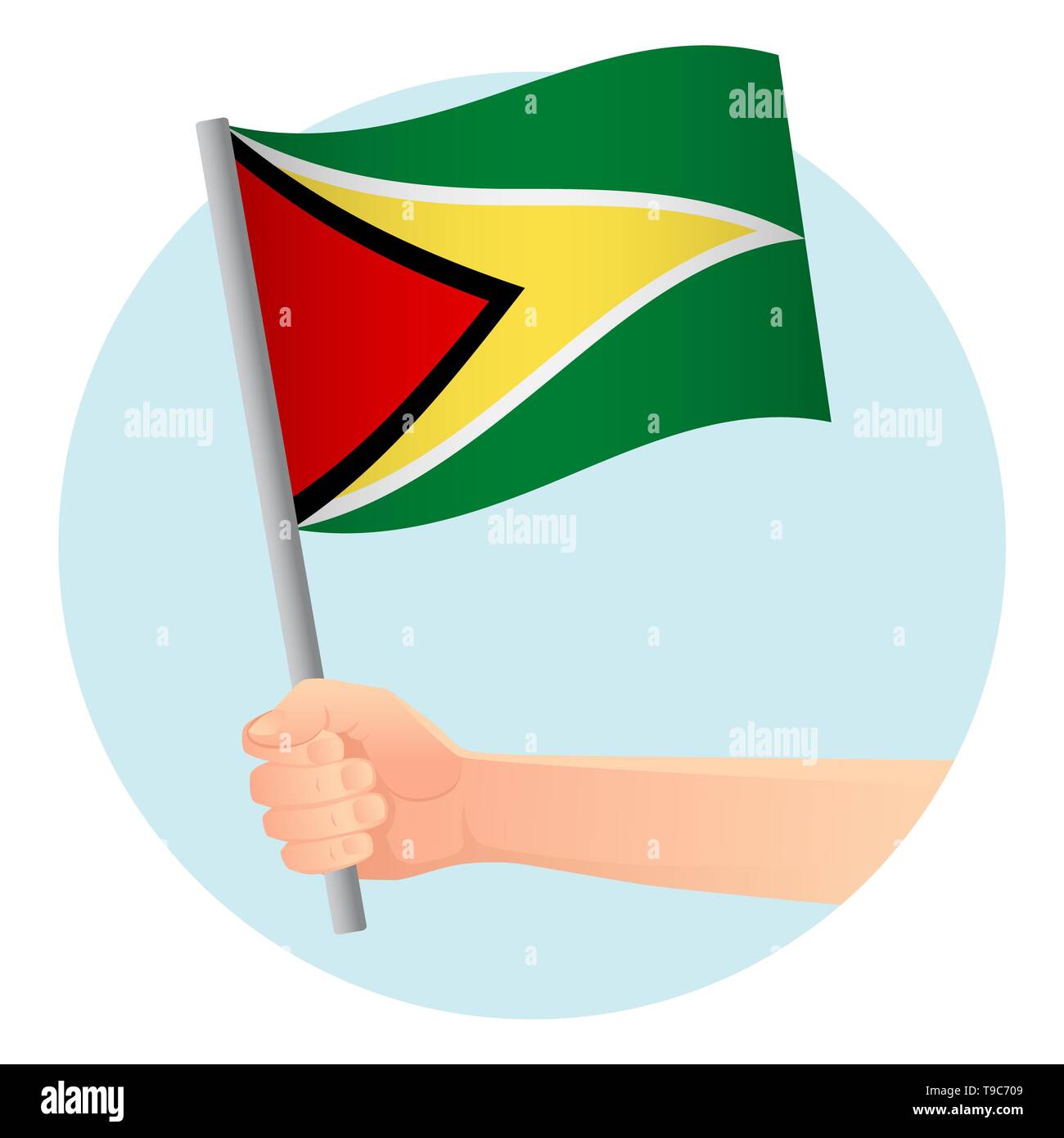 Guyana flag in hand. Patriotic background. National flag of Guyana ...