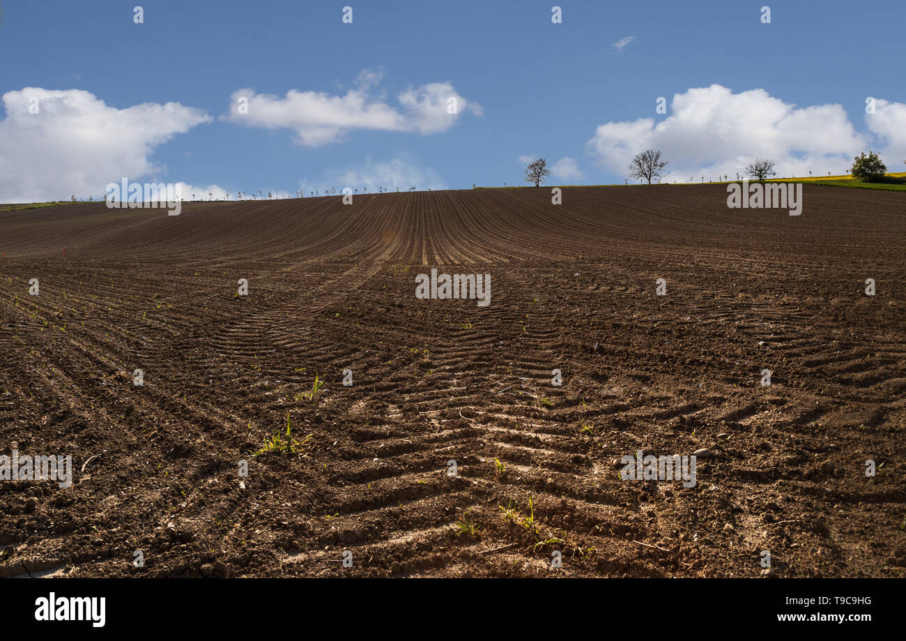 Big ploughland with the beautiful sky scape. Agriculture. Outdoor photo ...