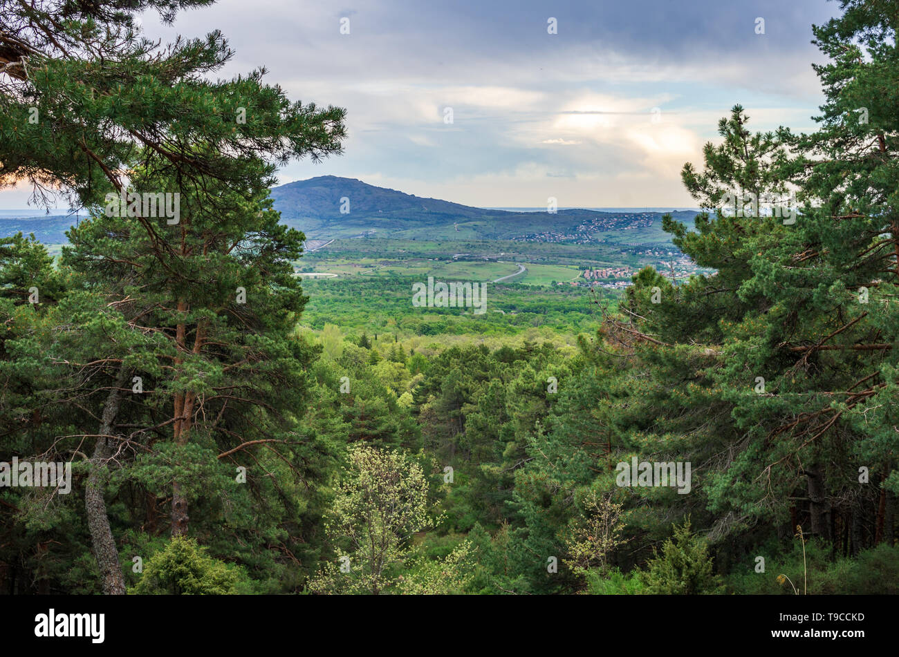 Landscape from the clearing of a forest, with a village and a mountain ...