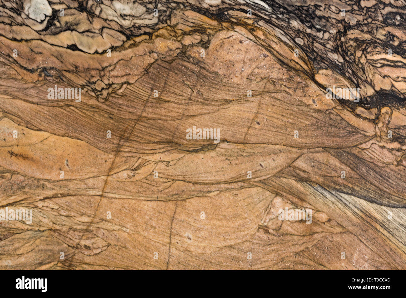 Your personal texture in ideal brown colour Stock Photo - Alamy