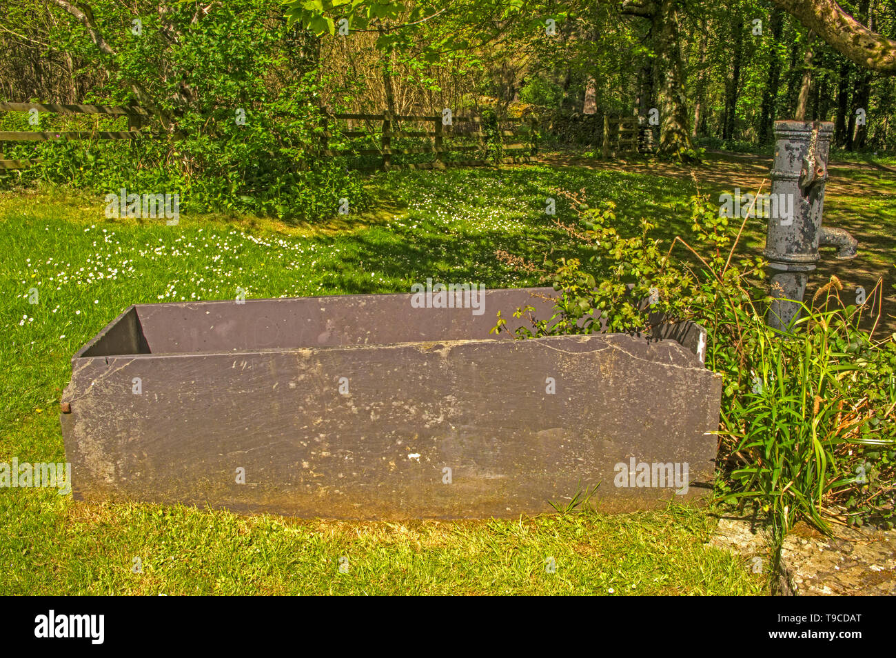 An old trough and pump probably for animals and domestic water Stock ...