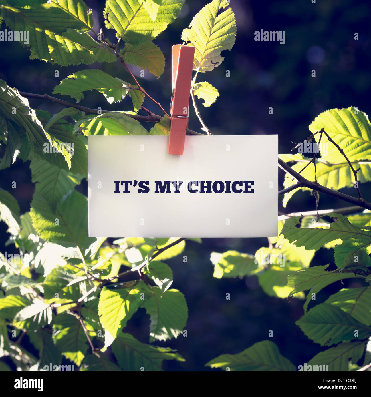 It's my choice inspirational message written on a card attached to a ...