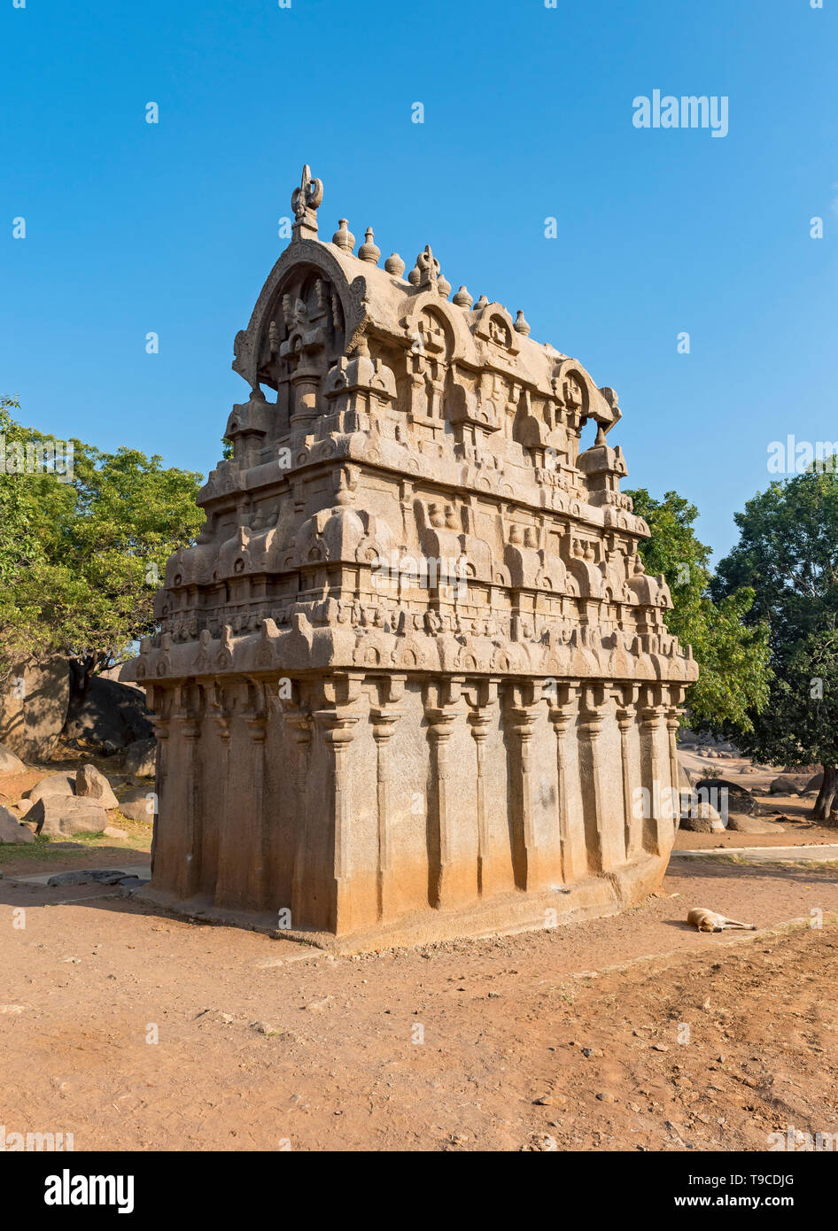 Ganesha Ratha temple, Mahabalipuram (Mamallapuram), India Stock Photo ...