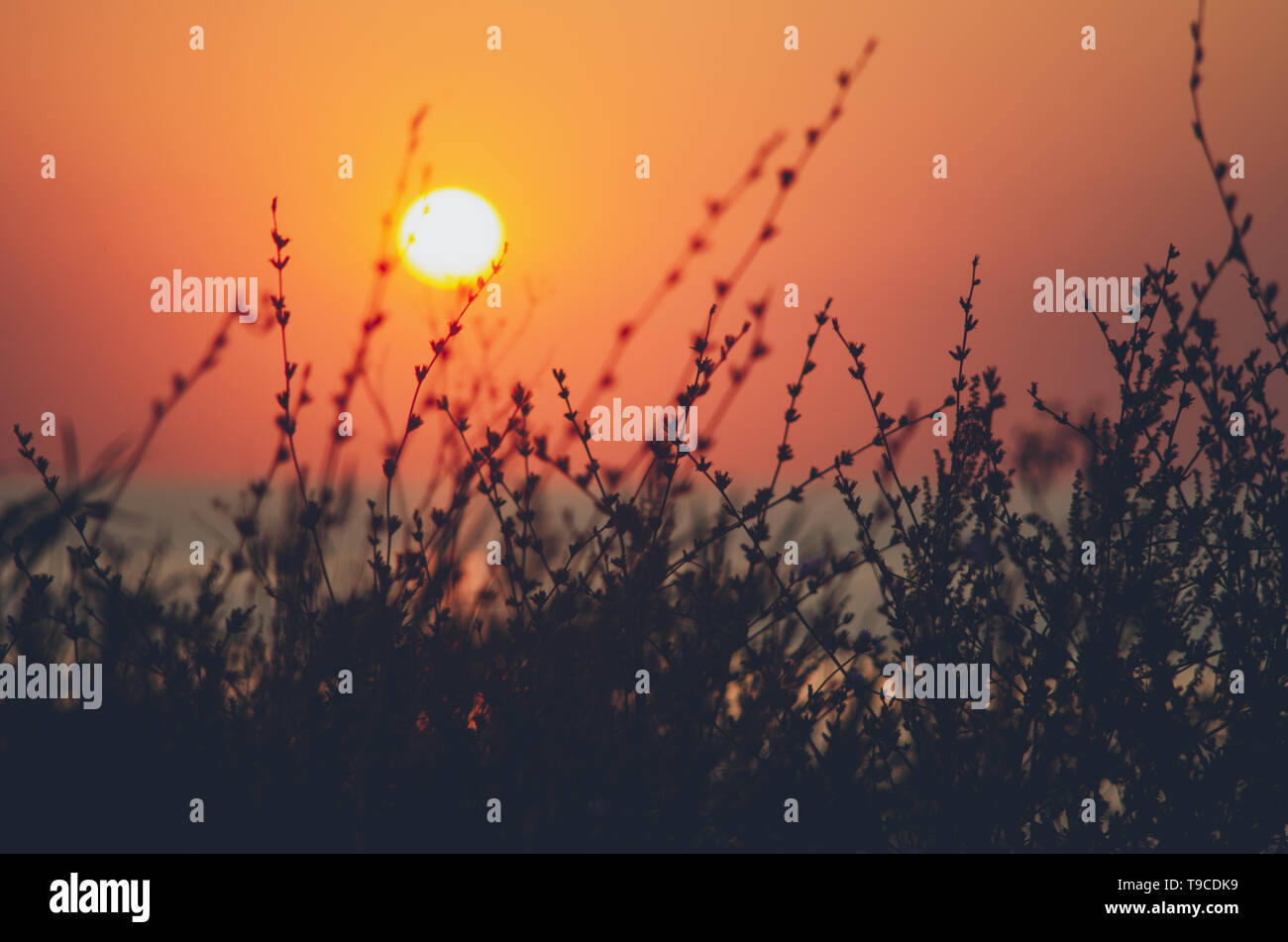 Beautiful promises hi-res stock photography and images - Alamy