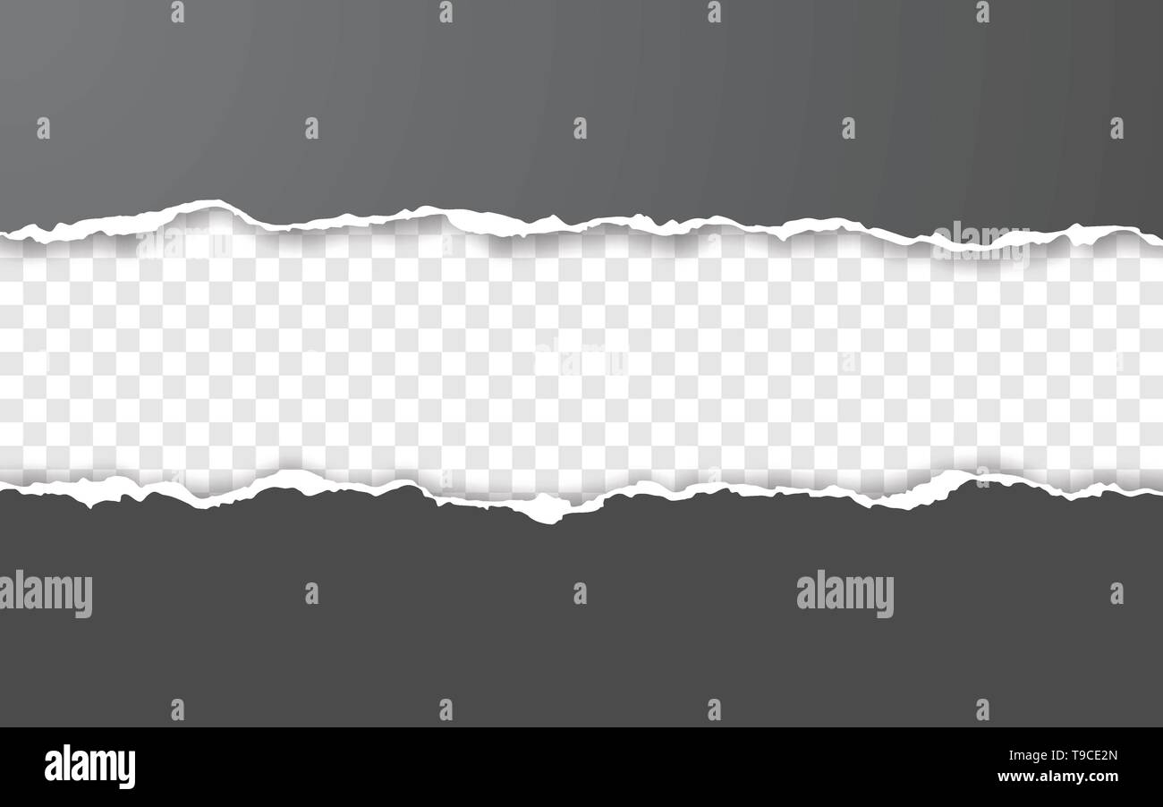 Horizontal torn paper edge. Ripped squared horizontal white paper ...