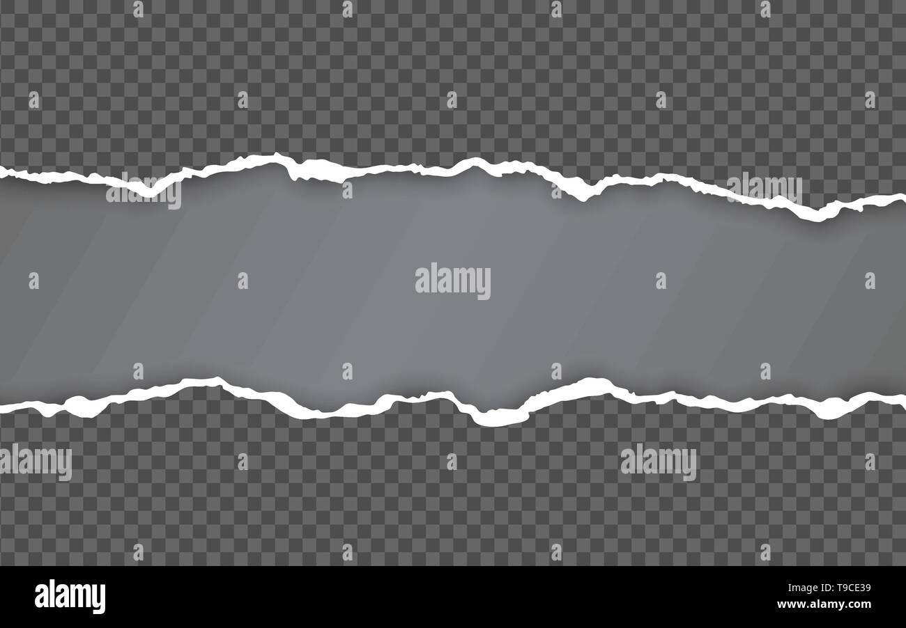 Horizontal torn paper edge. Ripped squared horizontal white paper ...