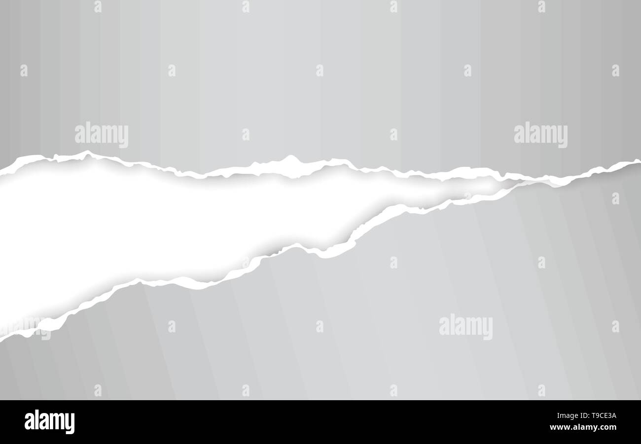 Horizontal torn paper edge. Ripped squared horizontal white paper ...