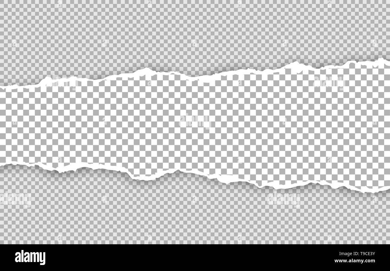 Horizontal torn paper edge. Ripped squared horizontal white paper ...