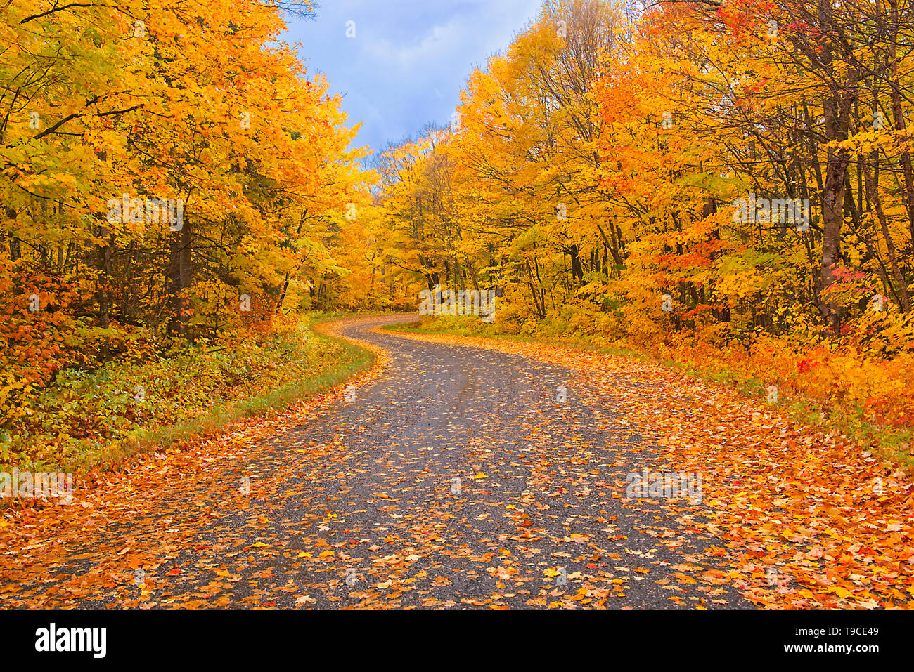 Northern ontario road hi-res stock photography and images - Alamy