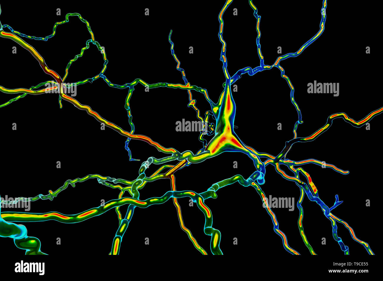 Dopamine Neurotransmitter Stock Photos & Dopamine Neurotransmitter ...