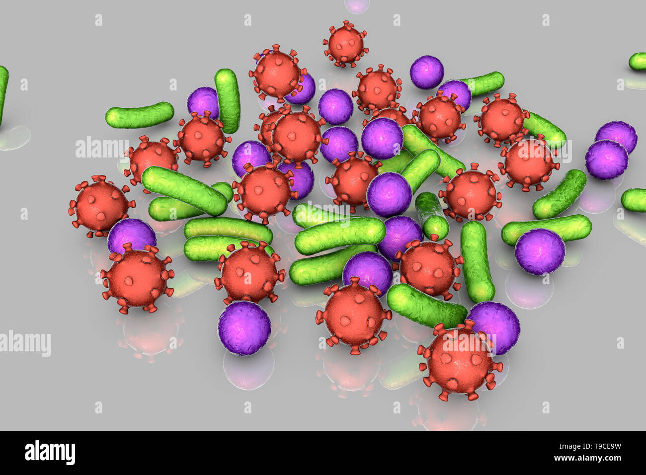 Bacteria and viruses, illustration Stock Photo - Alamy