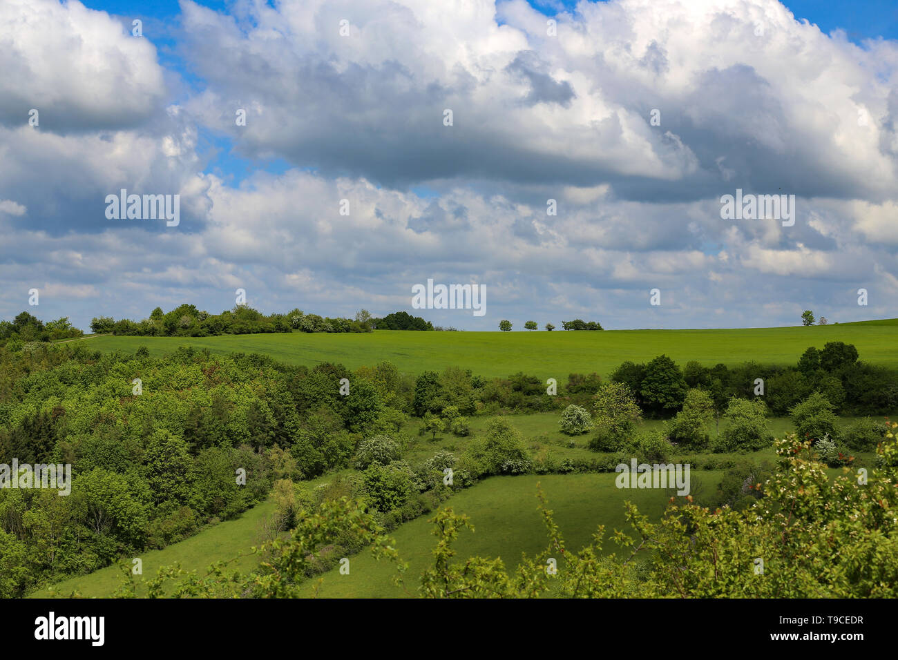 Spring Landscape. Field road among Meadows and fields Stock Photo - Alamy