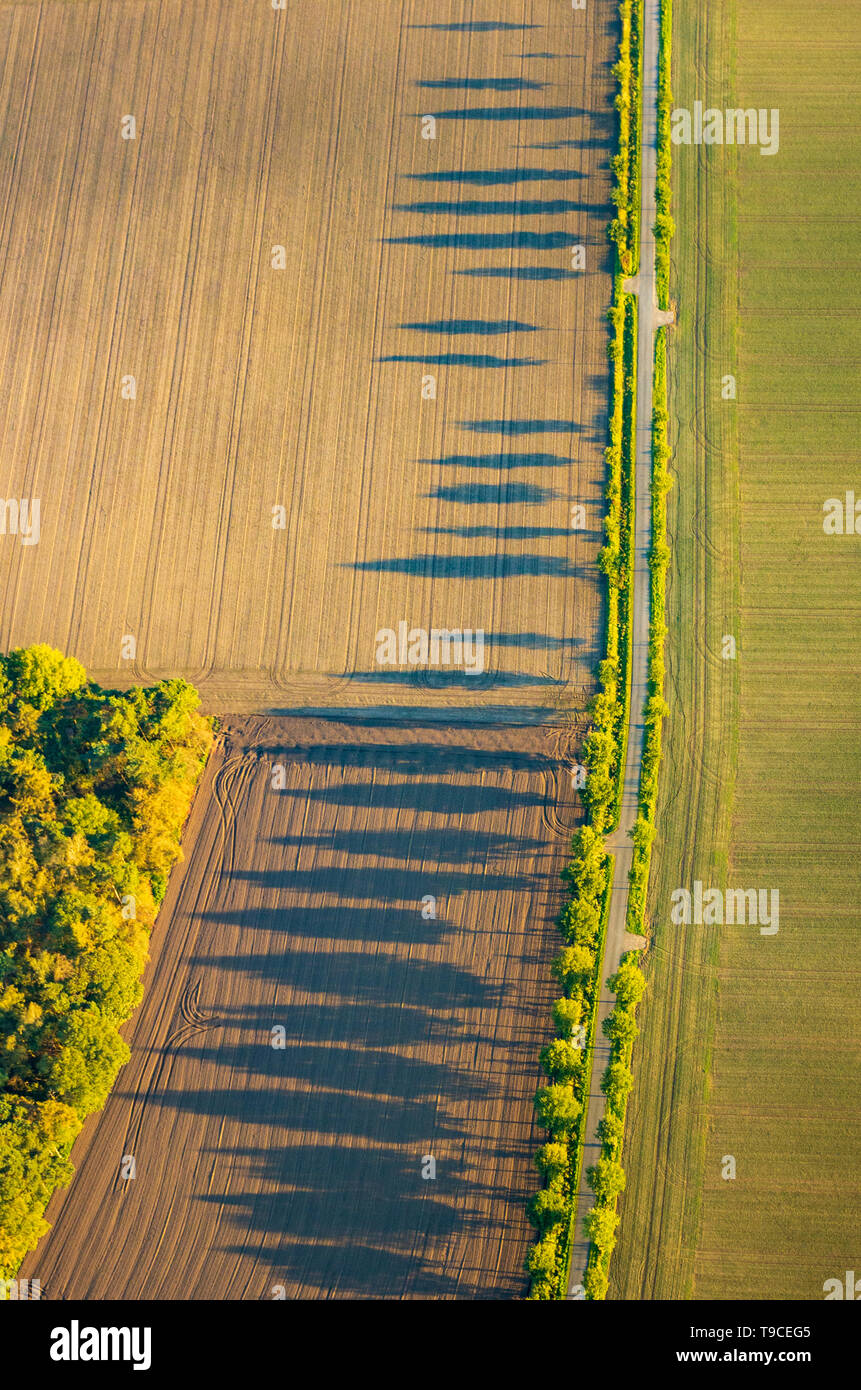 View from above over fields and trees with long shadows in the evening ...