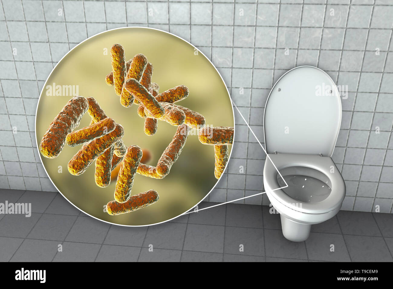 Germs From Toilet