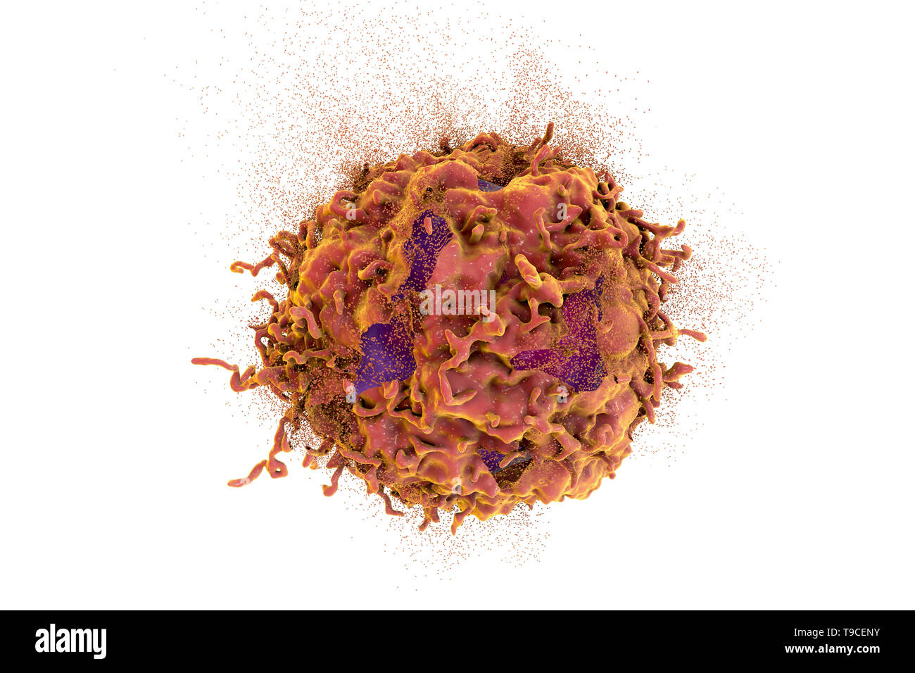 Destruction of a cancer cell, illustration Stock Photo - Alamy