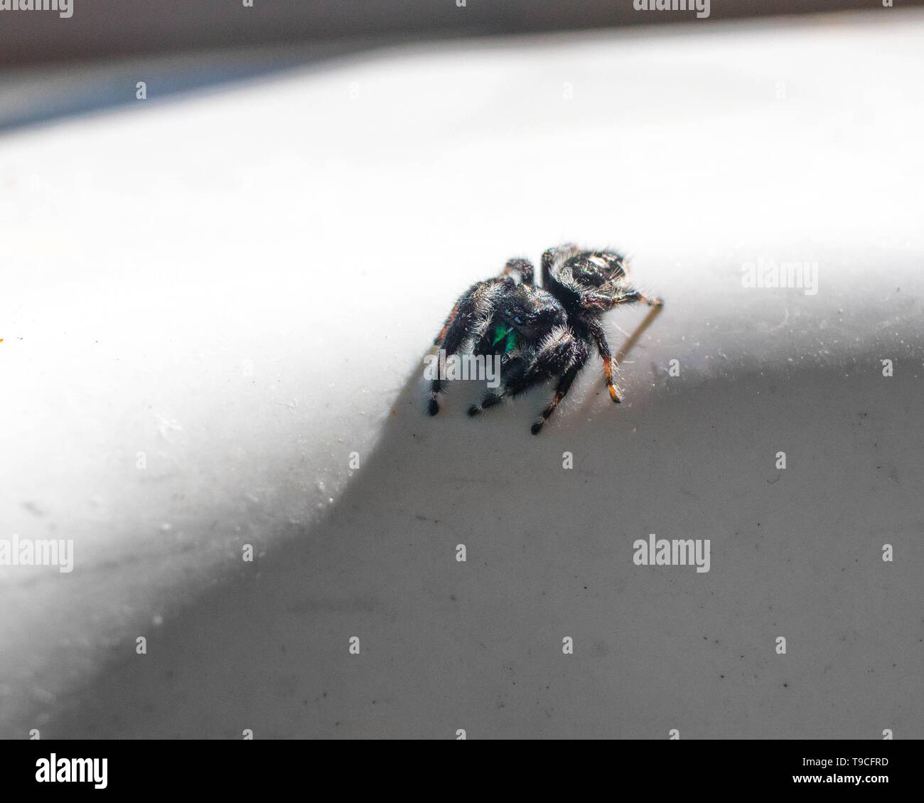 Defensive stance hi-res stock photography and images - Alamy