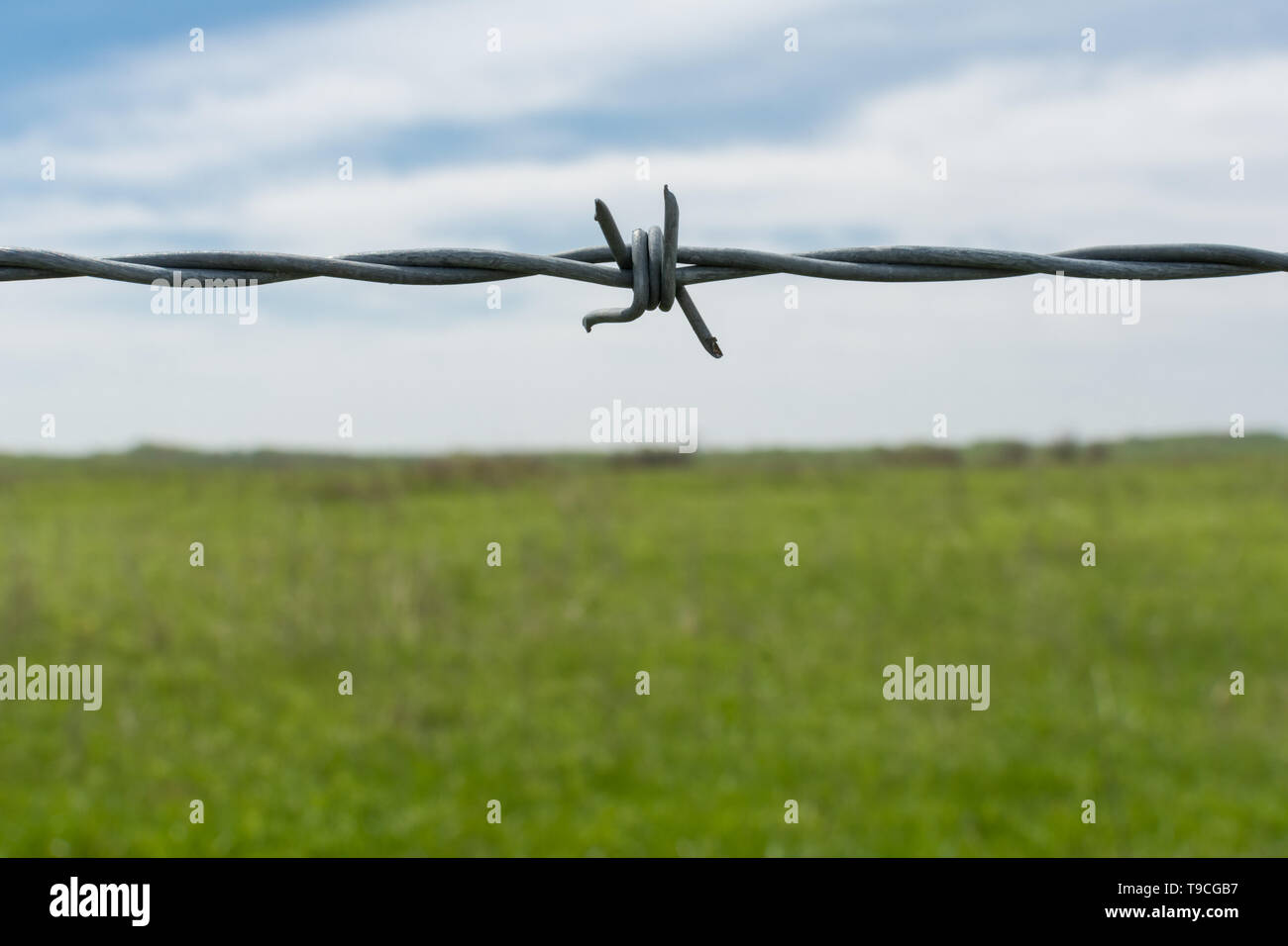 Barbed wire fence at Midewin Tallgrass prairie, Wilmington, Illinois ...