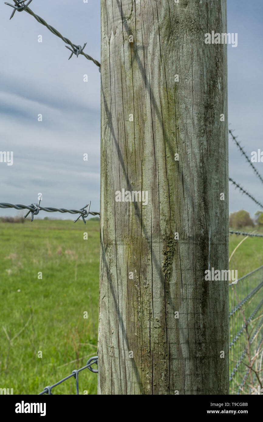 Barbed wire fence at Midewin Tallgrass prairie, Wilmington, Illinois ...