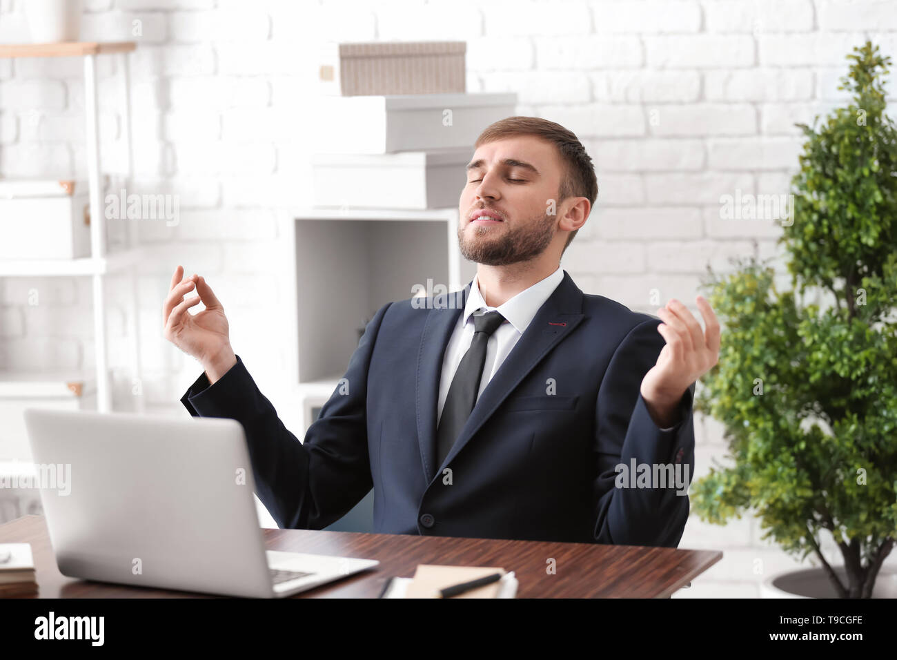 Handsome businessman portrait zen hi-res stock photography and images ...
