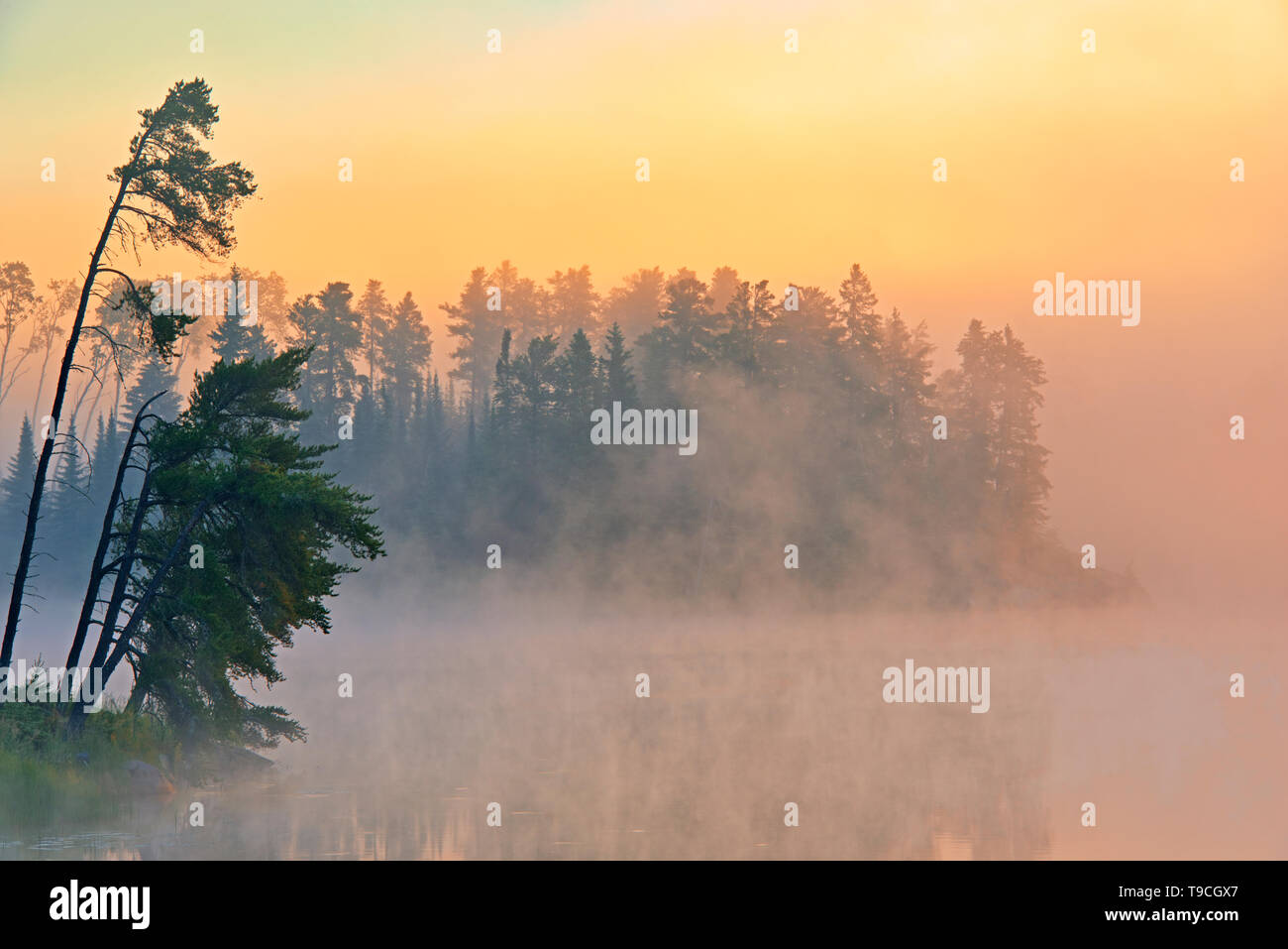 Fog at sunrise on Isabel Lake Kenora Ontario Canada Stock Photo - Alamy