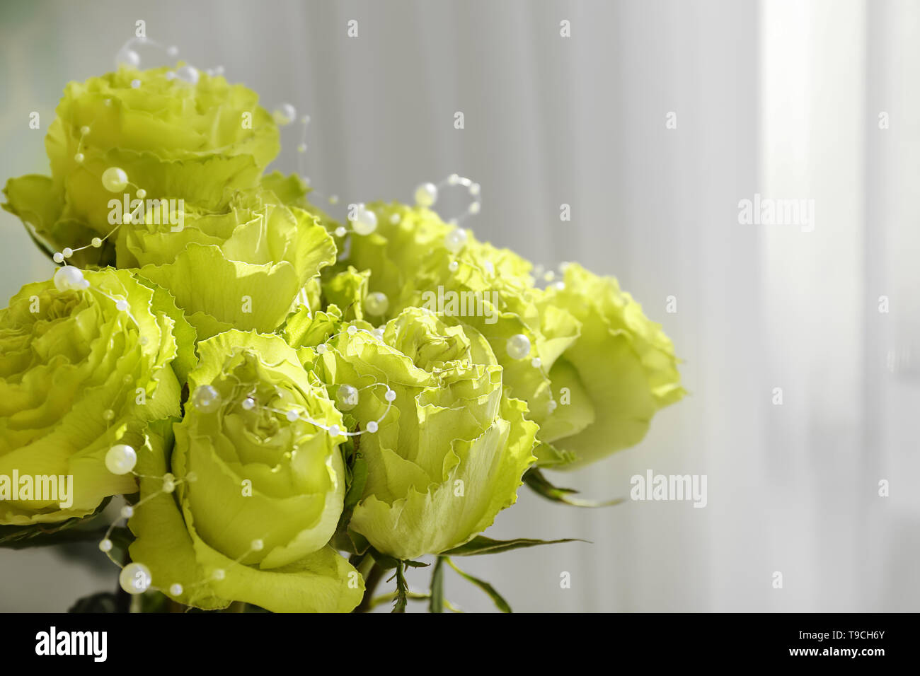 Beautiful green roses, closeup Stock Photo - Alamy