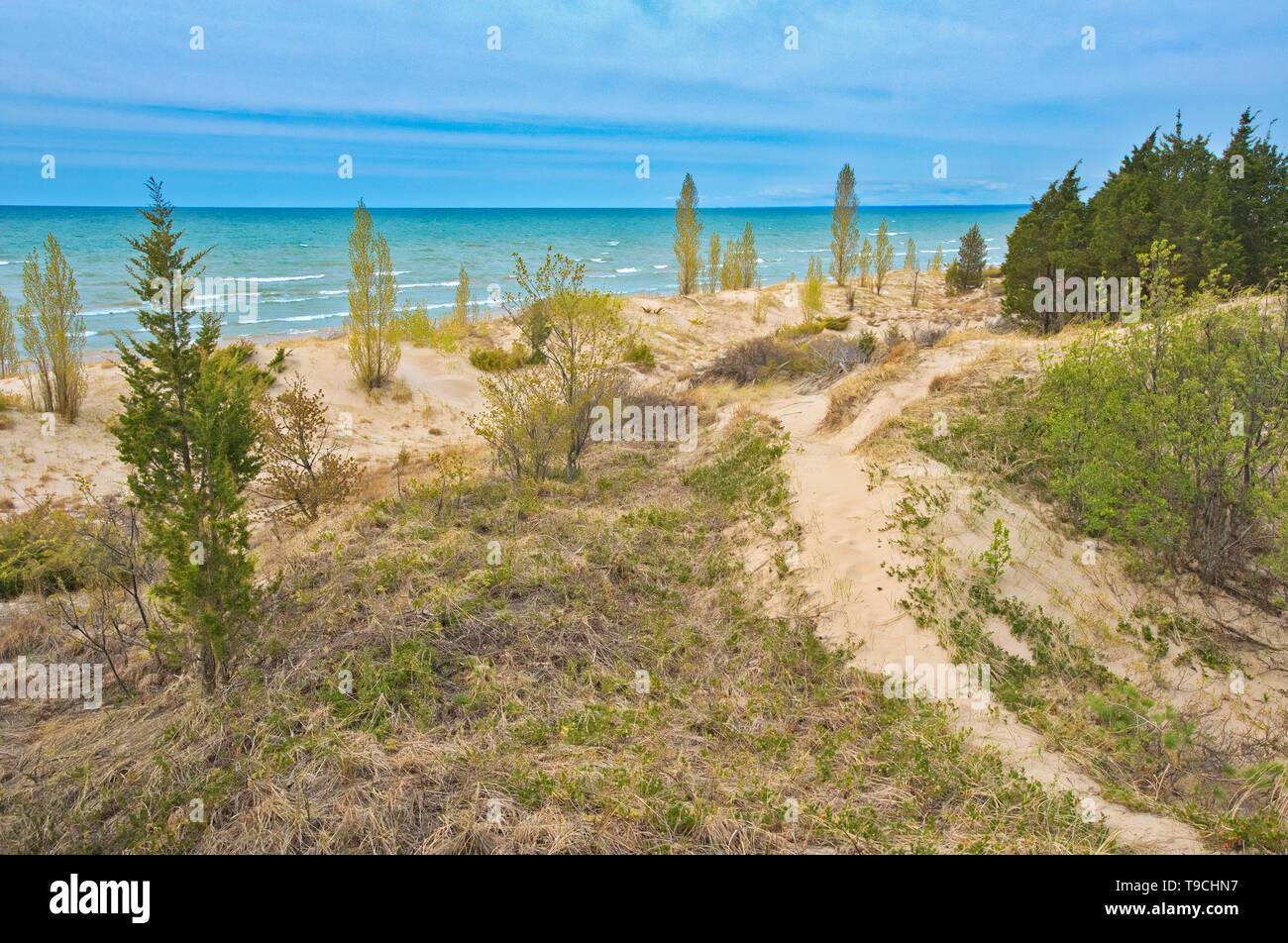 Sand dunes along Lake Huron Pinery Provincial Park Ontario Canada Stock ...