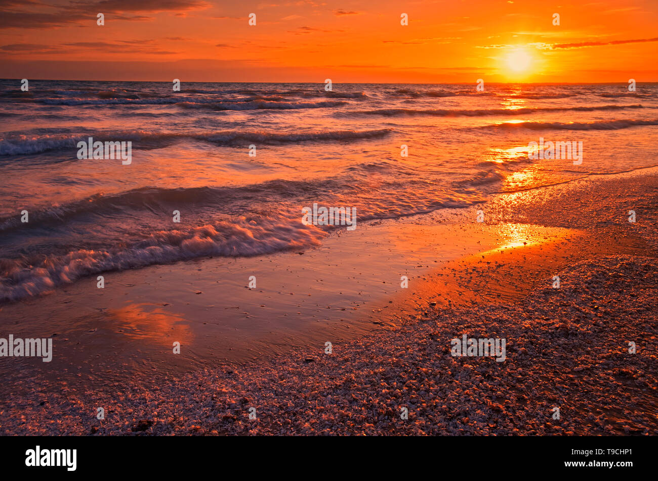 Shells on sandy beach on Lake Ontario and sunset Sandbanks Provincial ...
