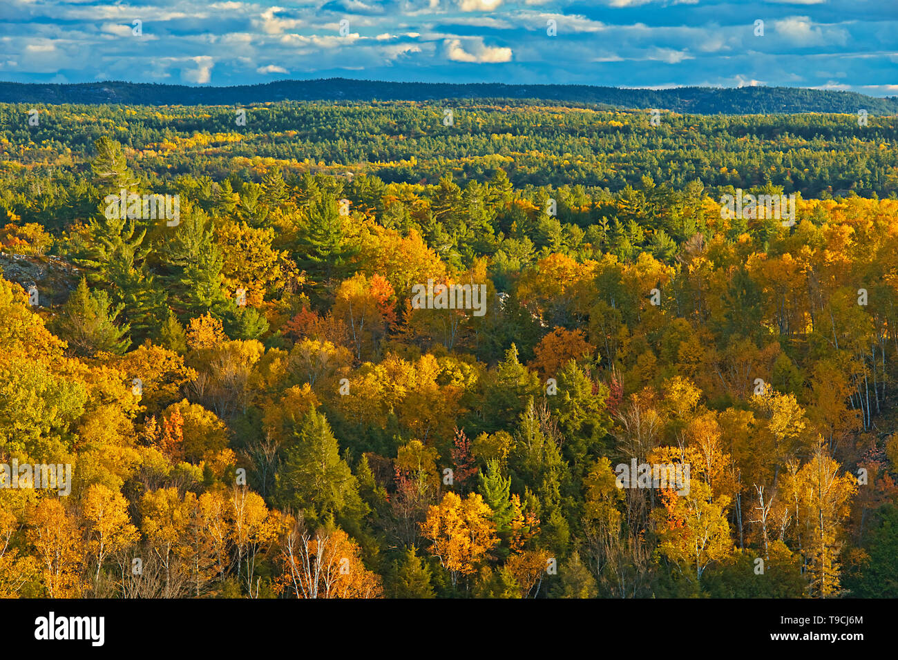 Autumn colors in Neebing County South of Thunder Bay Ontario Canada ...