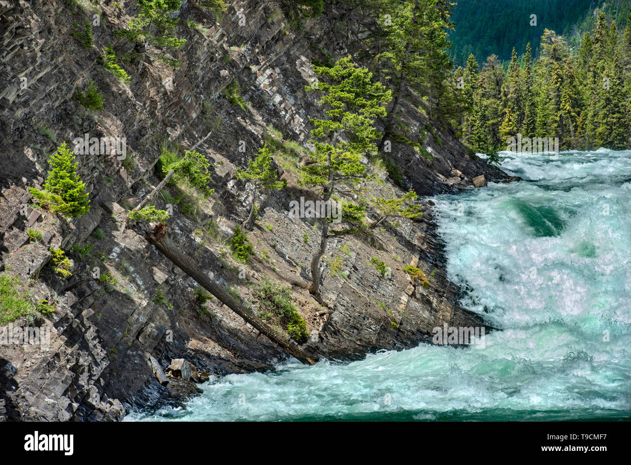 Bow falls banff national park hi-res stock photography and images - Alamy