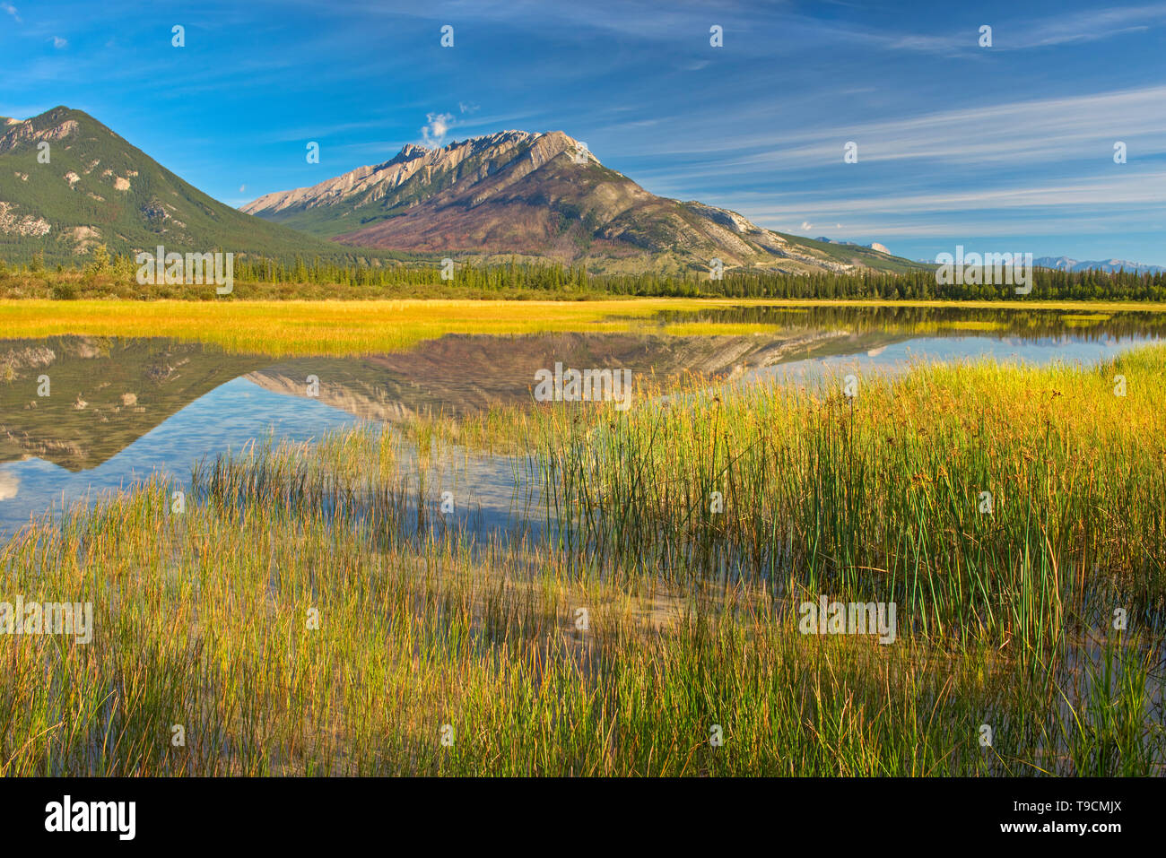 Jasper Lake Jasper National Park Alberta Canada Stock Photo - Alamy