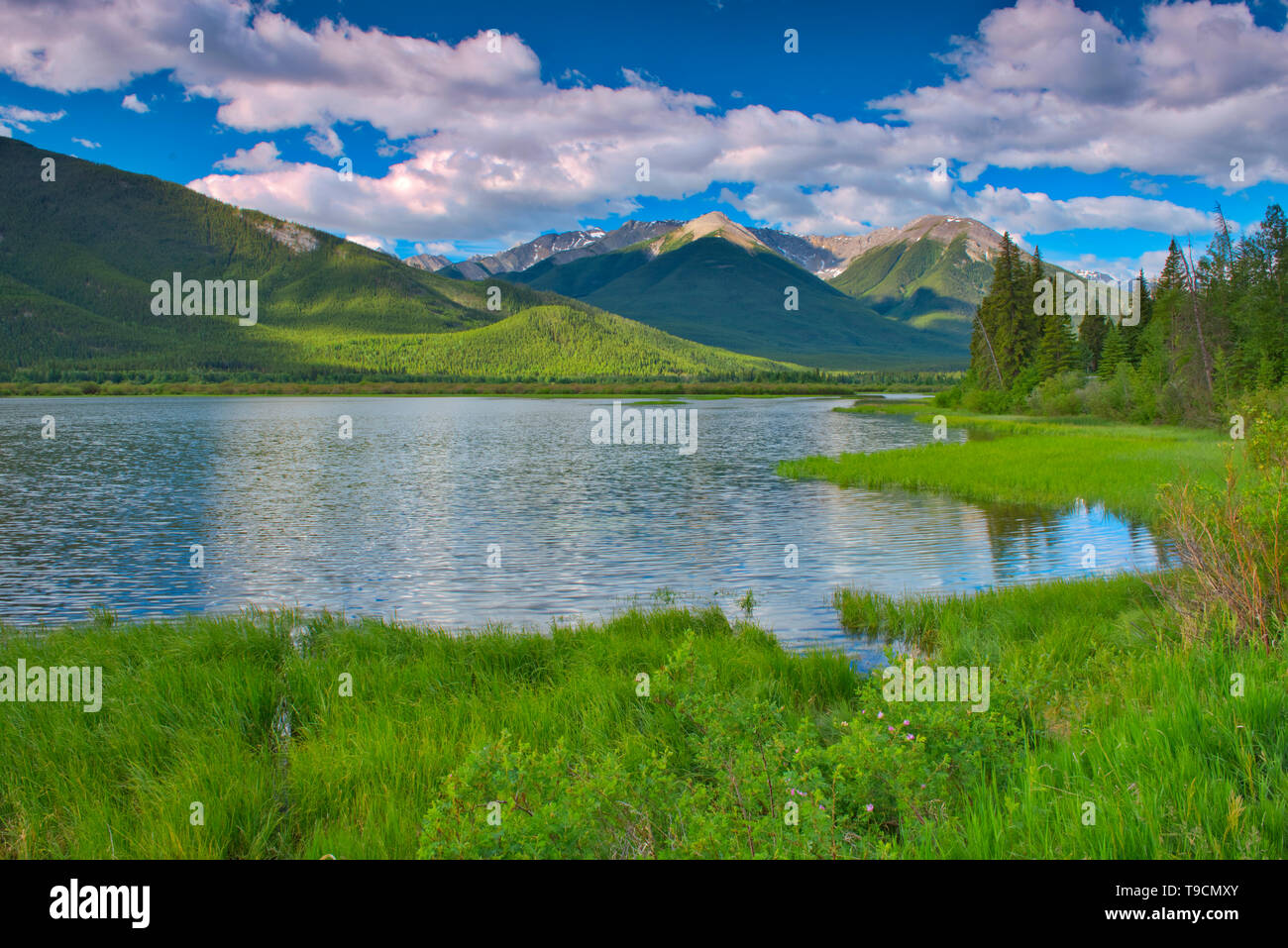 The Sundance Range and Vermillion Lakes Banff National Park Alberta ...