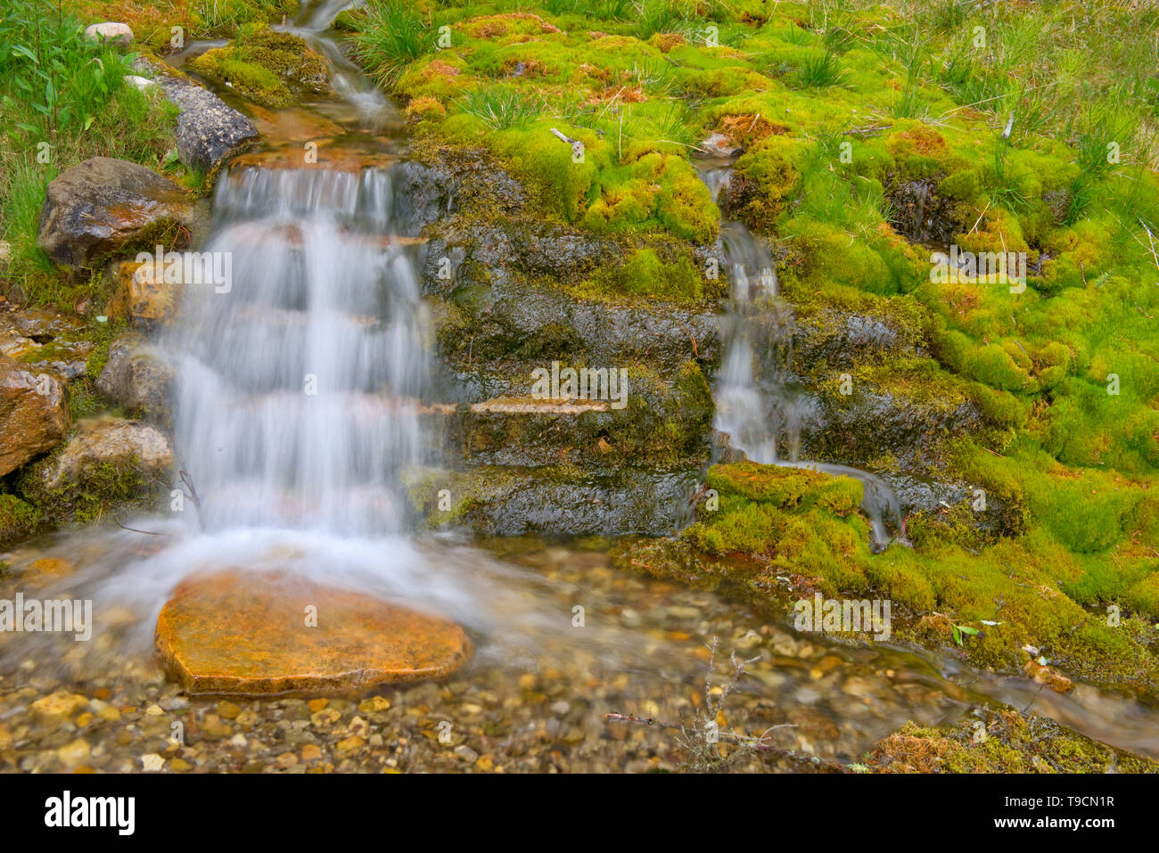 Creek and small waterfall along the Bow Valley Trail Banff National ...