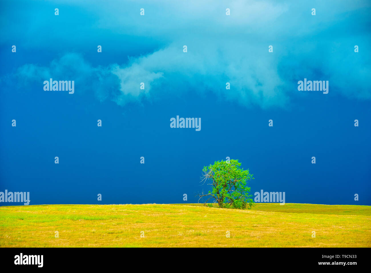Canada canadian western prairies saskatchewan hi-res stock photography ...
