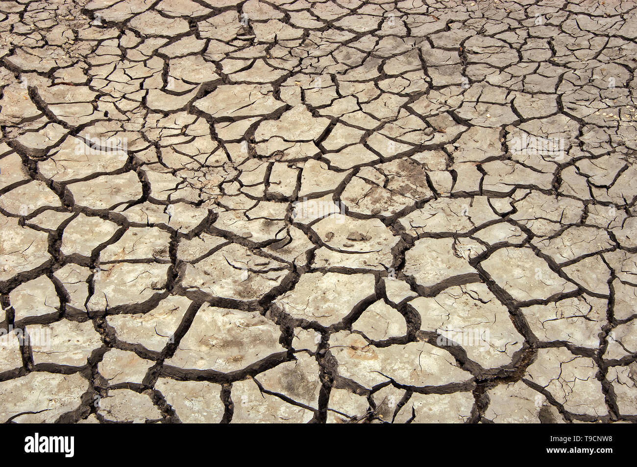 Extreme drought hi-res stock photography and images - Alamy