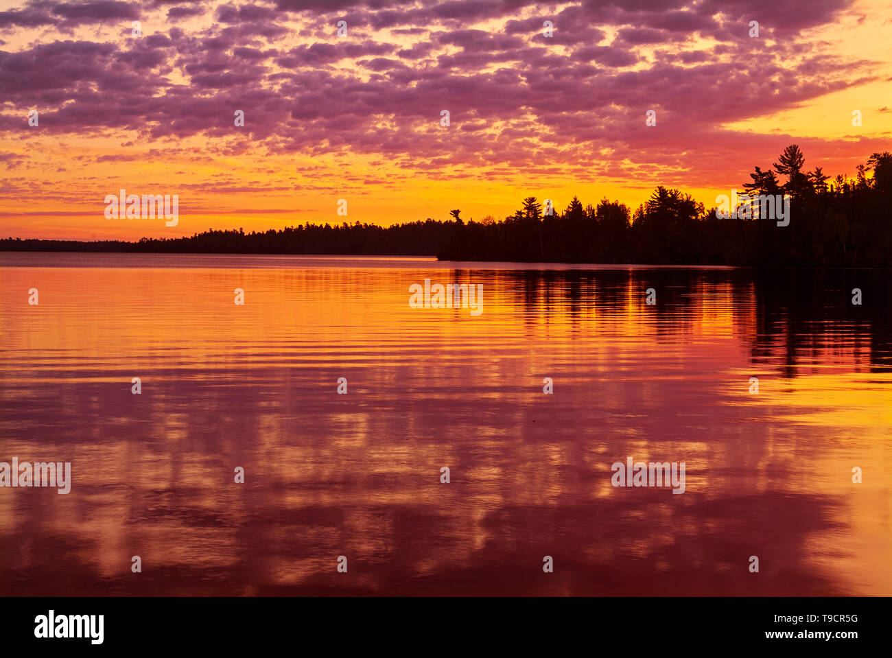 Crow lake hi-res stock photography and images - Alamy