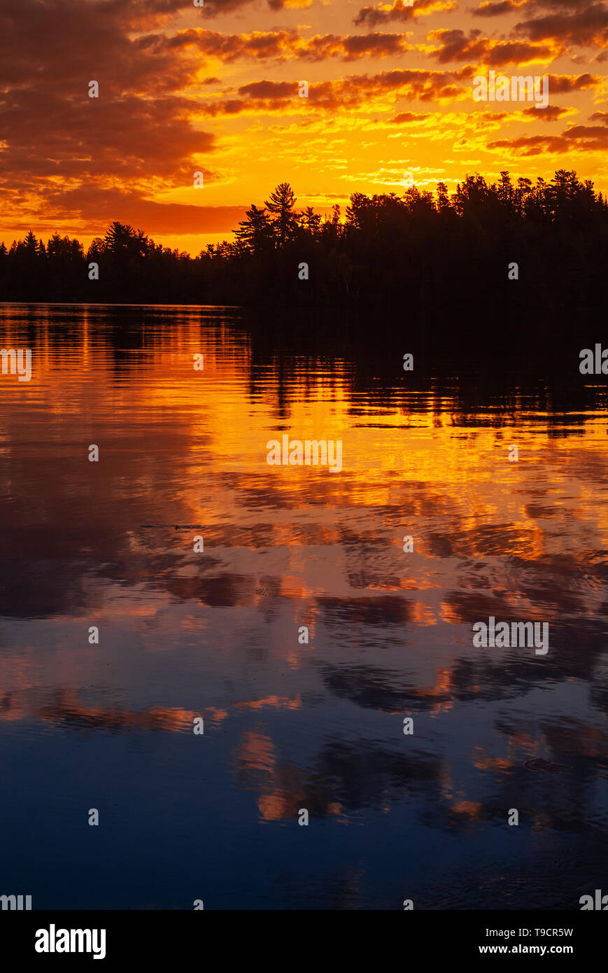 Crow lake hi-res stock photography and images - Alamy