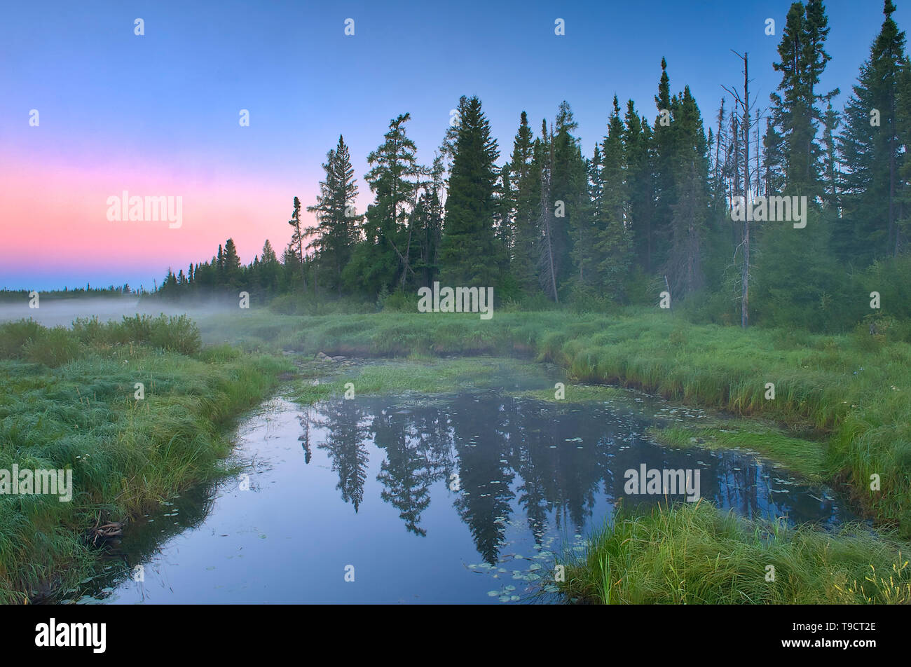 Swanson lakes hi-res stock photography and images - Alamy