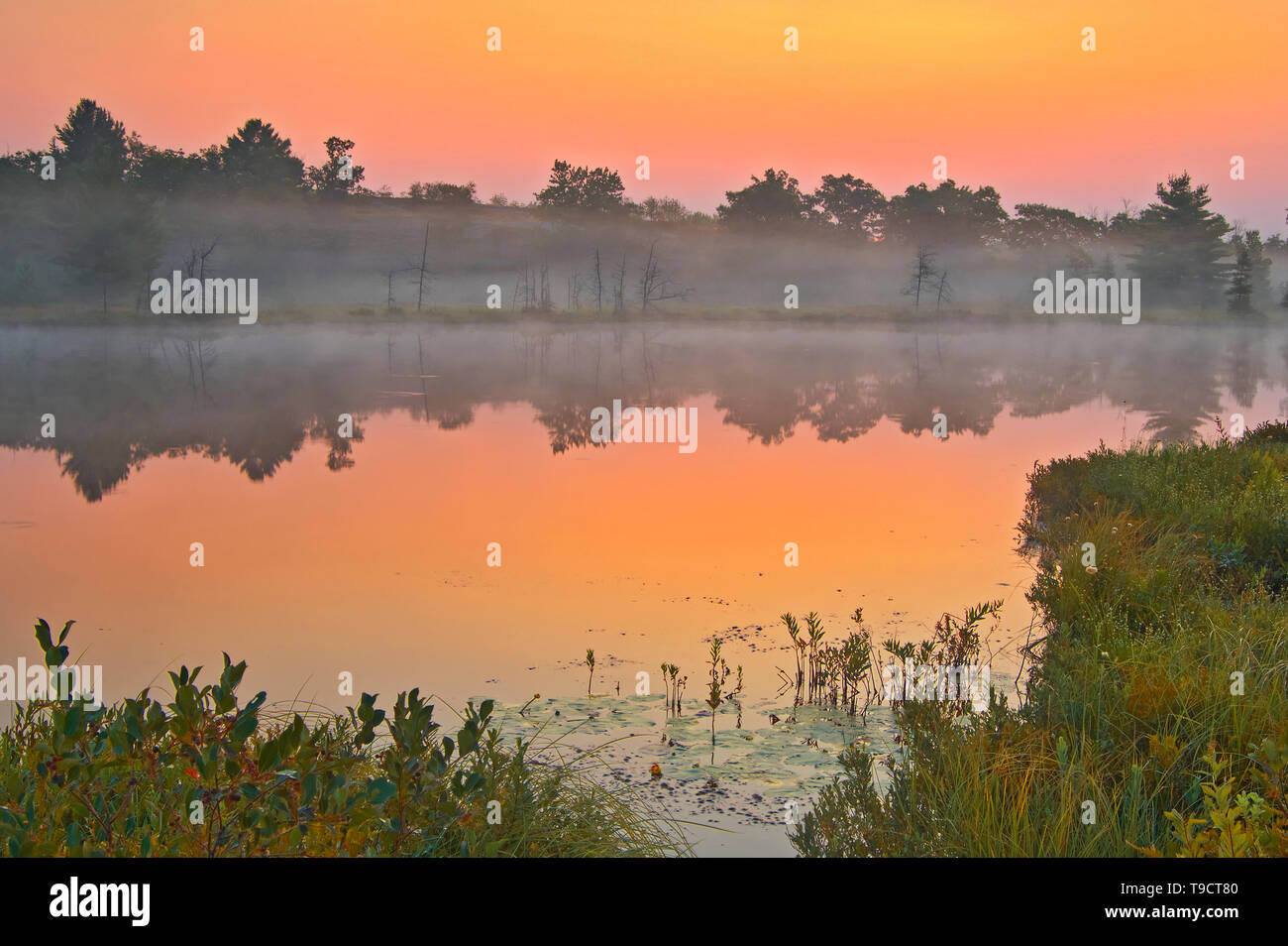 Dawn on Highland Pond Torrance Barrens Dark-Sky Preserve Ontario Canada ...