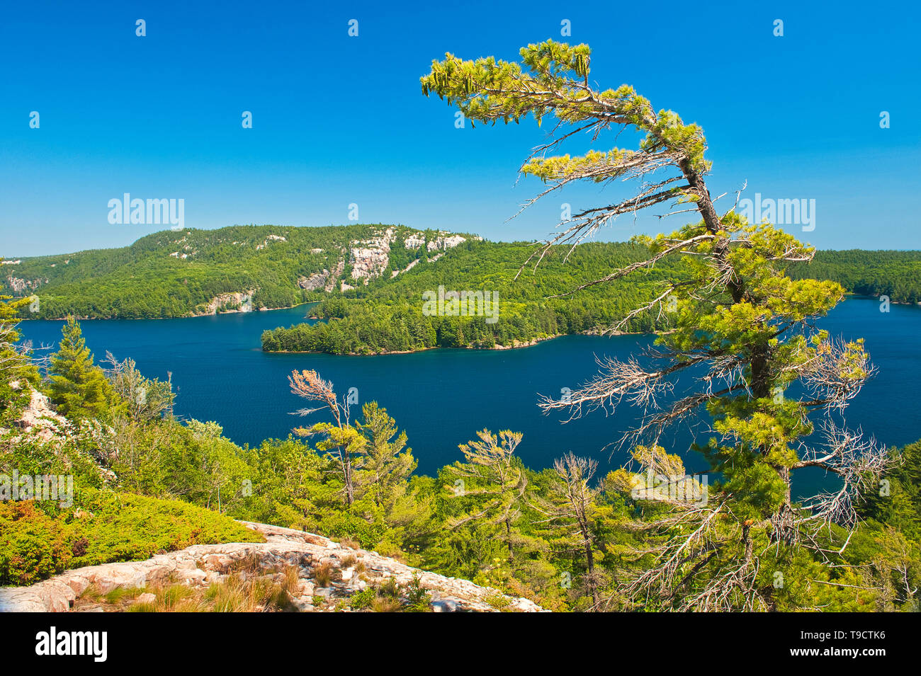 View of Killarney Lake from top of La Cloche Hills (made f quartzite ...