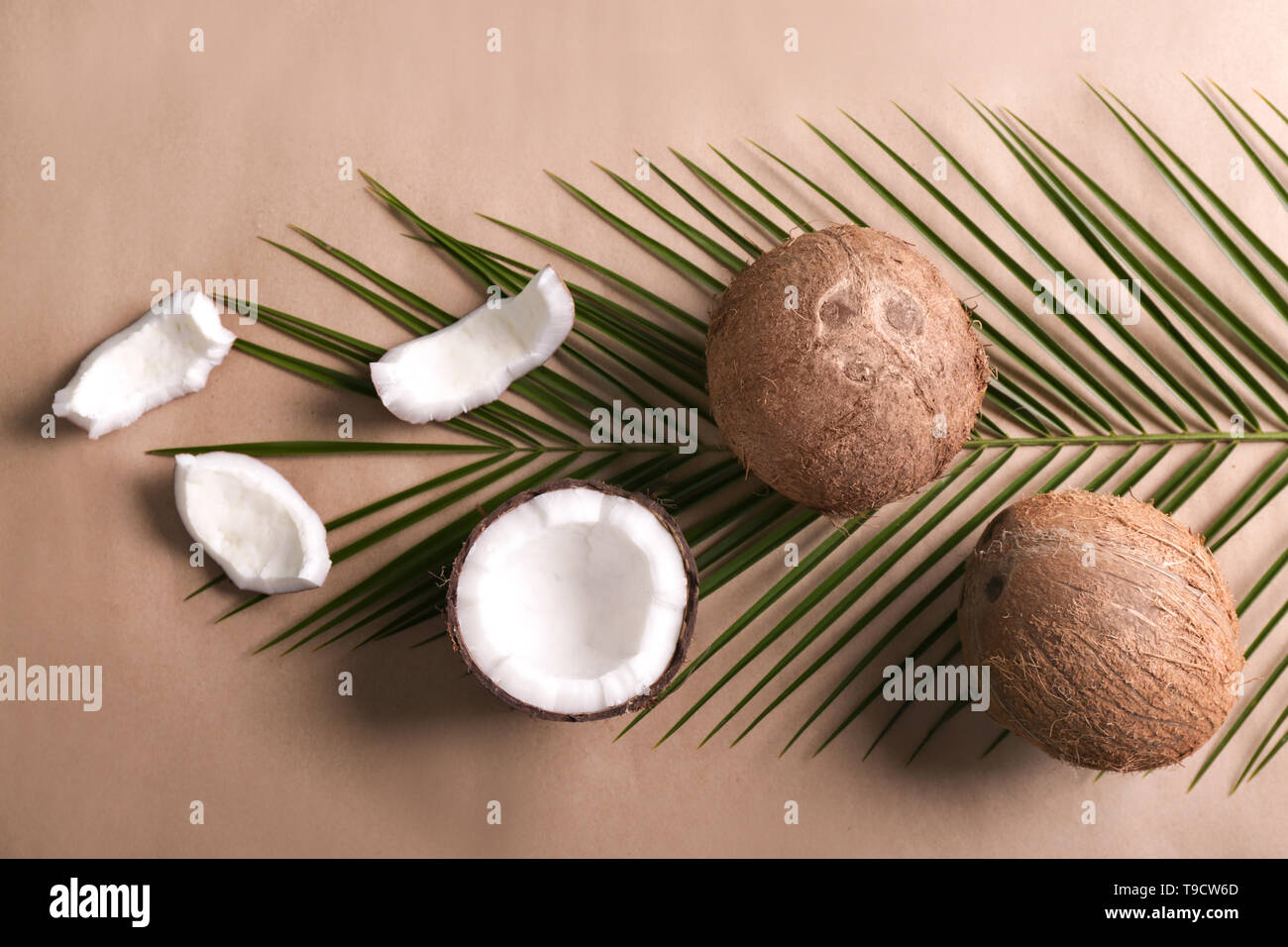 Ripe coconuts and palm leaf on color background Stock Photo - Alamy