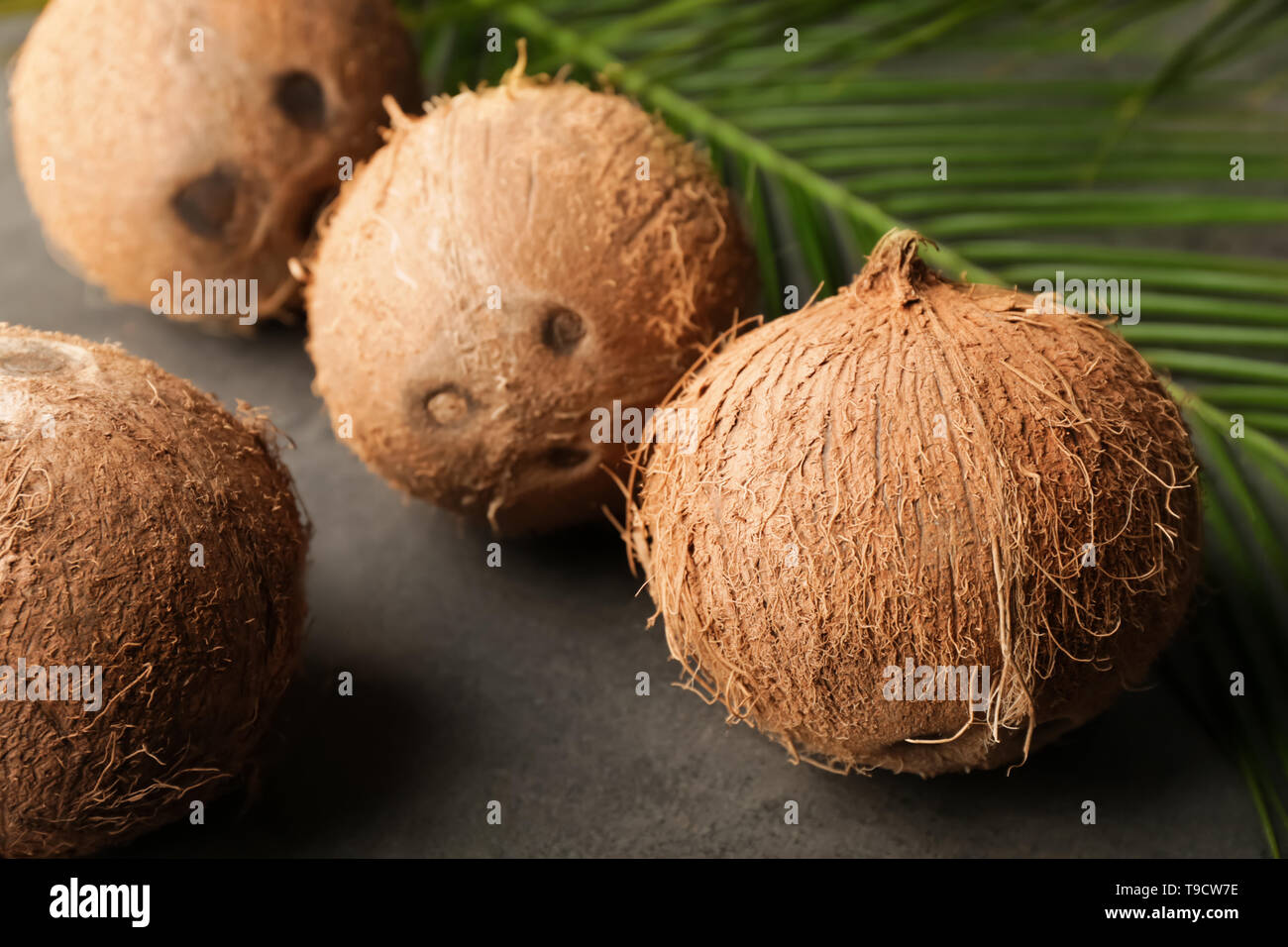 Ripe coconuts on grey background Stock Photo - Alamy