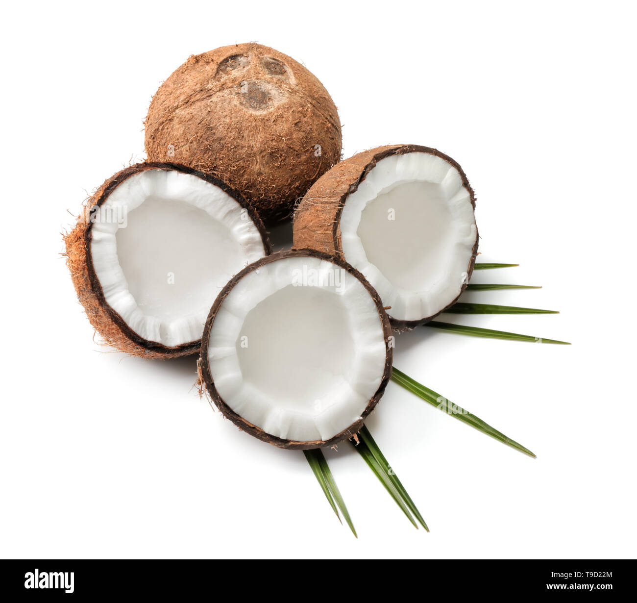 Ripe coconuts on palm Cut Out Stock Images & Pictures - Alamy