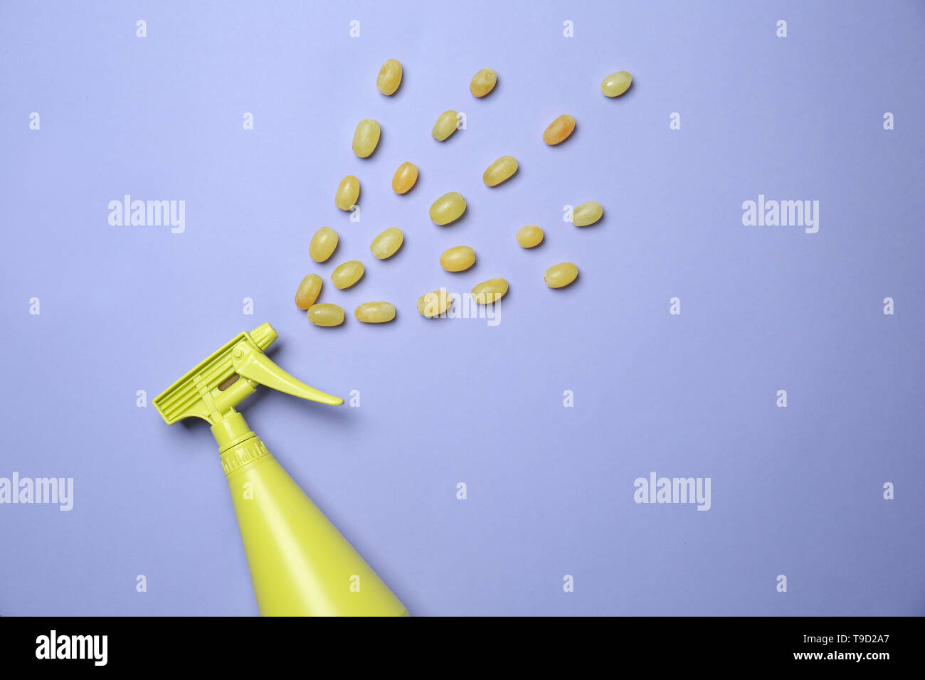 Spray of grapes hi-res stock photography and images - Alamy